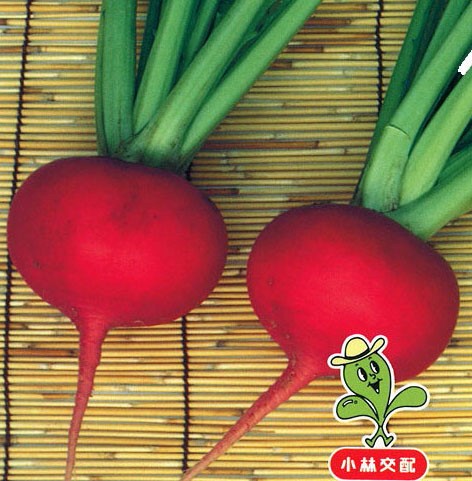 product | Kobayashi Seed Co.,Ltd.